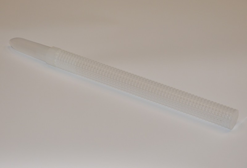 Sitophilus granarius | chemtica.com