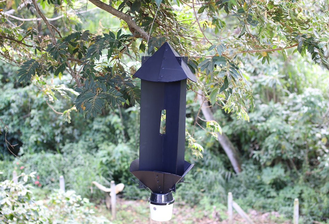 Woodborer Panel Trap | chemtica.com