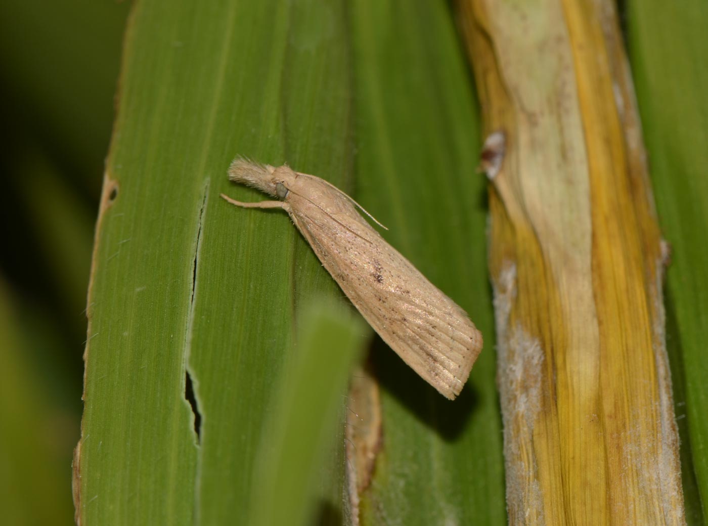 Index of /site/wp-content/uploads/2012/11/