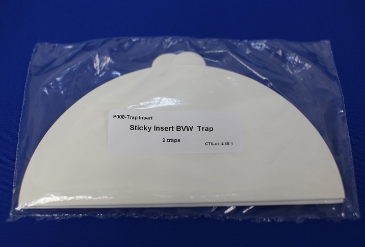Sticky Insert BVW Trap | chemtica.com